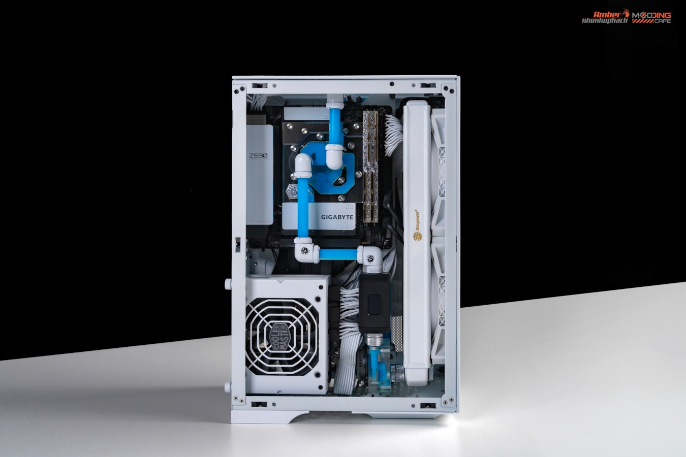 The Meshditerranean - Meshlicious Case x CM V850 SFX White ...